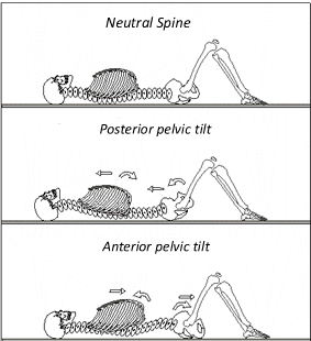 What To Do With Low Back Pain – Learn To Move